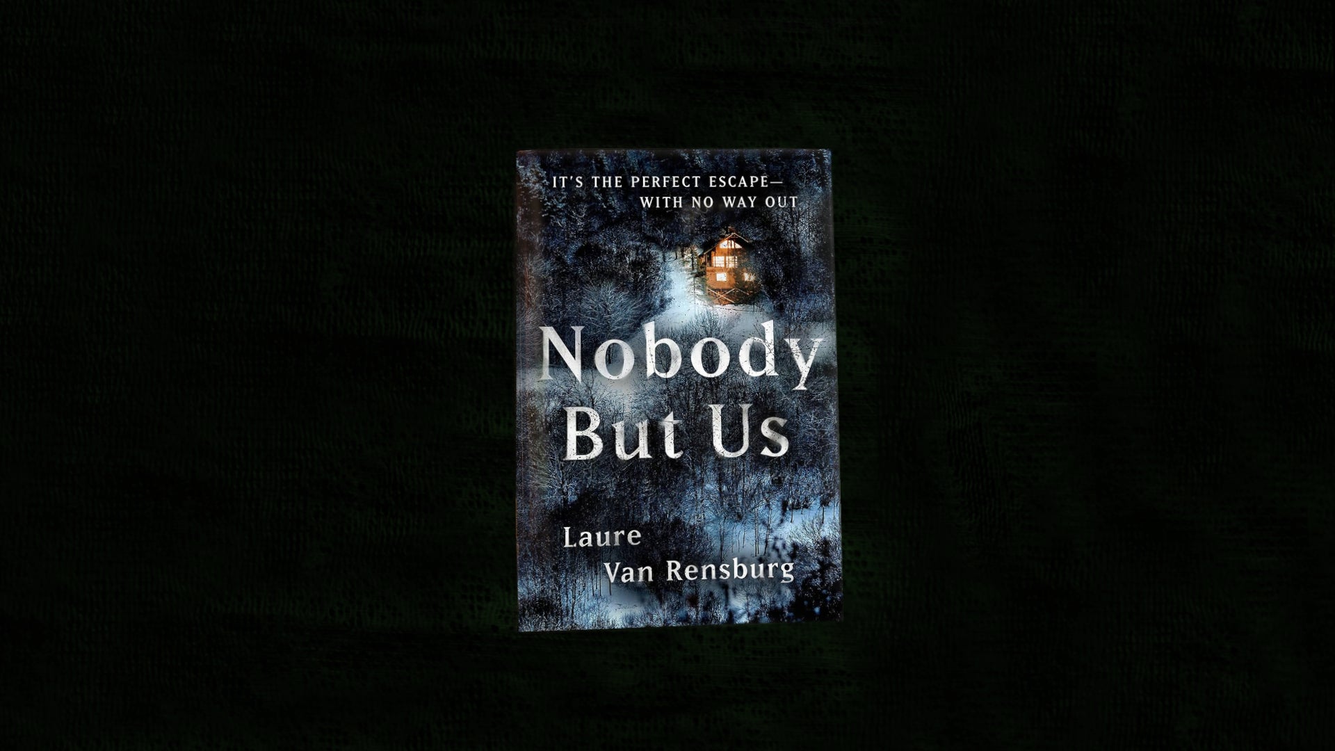 Nobody But Us by Laure Van Rensburg – The Nerdy Tabby
